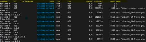 18 Quick Lsof Command Examples For Linux Geeks