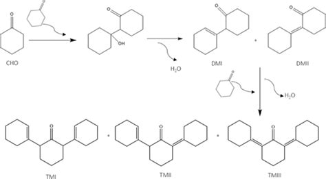 Does Cyclohexanone Undergo Aldol Condensation