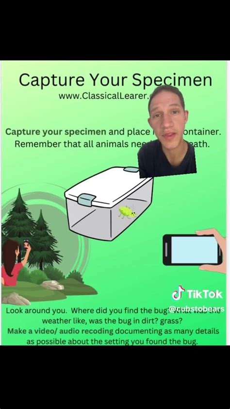 Classical Learner Classical Learner 1990 State One News Page Video