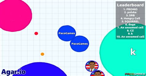Play The Game For Free On Pacogames