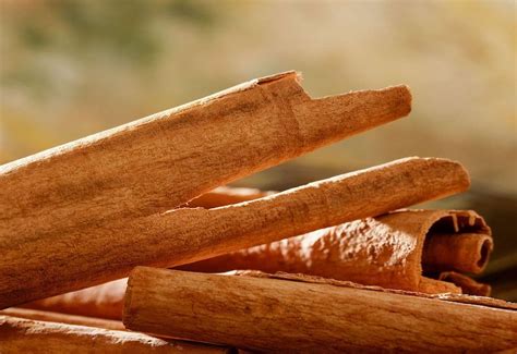 How To Use Cinnamon Bark For Health And Flavor Benefits