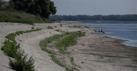 Названо суму збитків яких завдала українському довкіллю війна