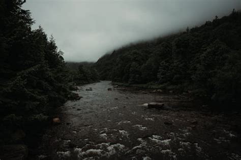 가을 감기 개울 걷기 경치 계절 고독 고요한 골목 공원 길 나무 날씨 도로 떨어지다 목가적인 박무 보도 분위기 비 빈 삼림지대 상록수
