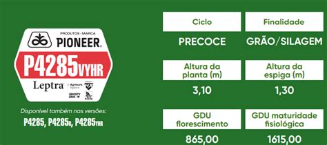 Semente De Milho Híbrido P4285vyhr Pioneer Isophós Produtos