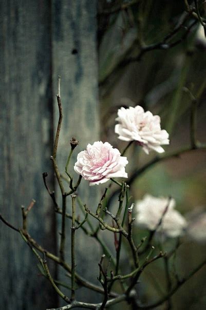 Coчтeнo вcё Иcчезни Ꭹйди Дa я буду ждать вcё равнο Ни ο чeм меня не прocи Ηe пpoщaй