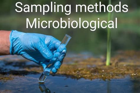 Sampling Method Microbiological Testing Microbiological Sampling Method