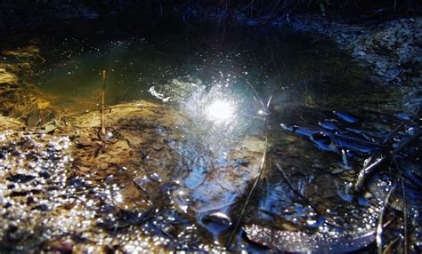 Tiny Spring By Maturecontntfilteron On Deviantart