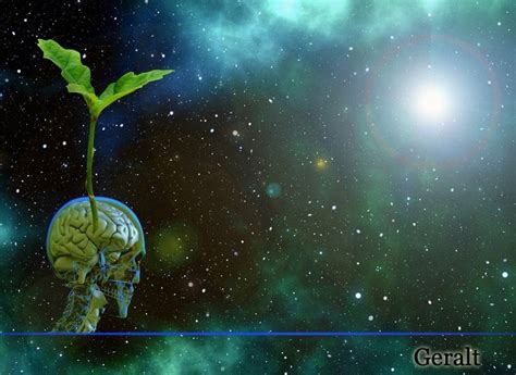 Utopia Erroneous And Limiting Meaning