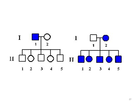 Modes Of Inheritance Pptx