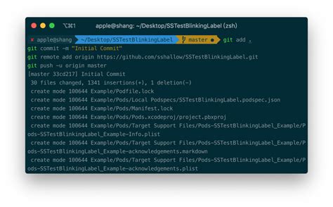 Ios When I Execute Git Push Origin Master Why Is Error Failed To