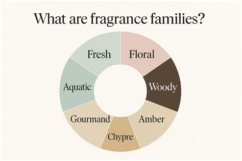 What Are Fragrance Families A Simple Guide For Beginners