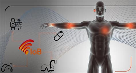 An Introduction To The Internet Of Bodies By Juliano Statdlober