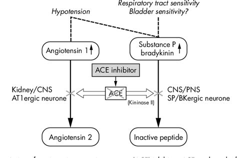 Figure 1 From Ace Inhibitor Angiotensin 1 Hypotension Angiotensin 2