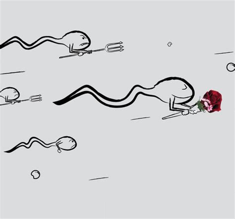 G6 Ch2 L3 2 Meiosis Cell Reproduction Baamboozle Baamboozle The Most Fun Classroom Games