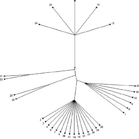 Unweighted Pair Grouping Method Of Arithmetic Averages Dendrogram Of 30