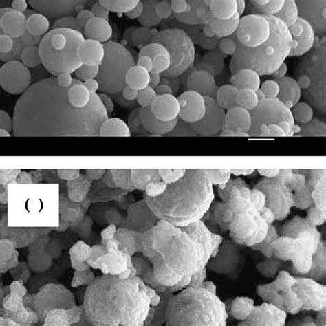 Scanning Electron Micrographs Sem For A Ni 04 Mn 04 Co 02 O Y