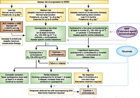 Figure 1 From Treatment Of Idiopathic Membranous Nephropathy