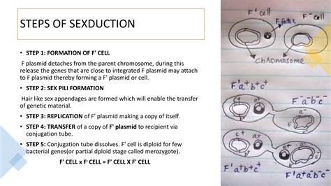 Conjuagtion Types And Application Pptx