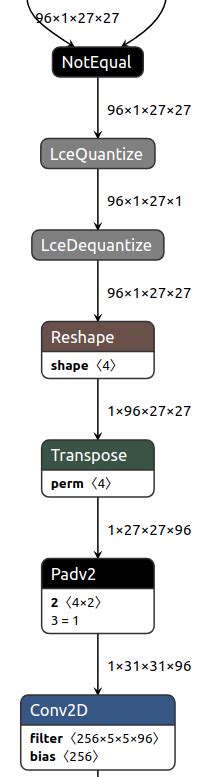 tensor transform triggers dequantization · issue 692 · larq compute