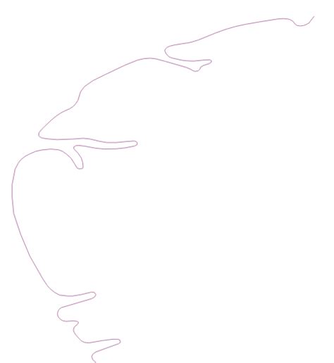 pandas converting a somewhat organized text file to csv using python stack overflow