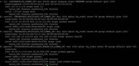 Echo Requestresponse After Authentication Process · Issue 28