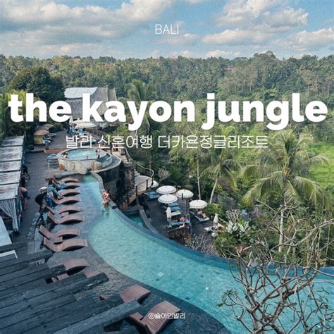 발리 신혼여행 더 카욘 정글 리조트 숙박 비용 디너메뉴 추천 1탄 네이버 블로그