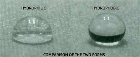 Understanding the Hydrophobic Properties of PTFE – PTFE Machinery