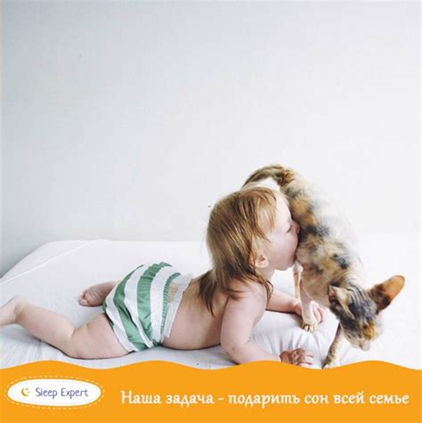 Формируем правильные пищевые привычки Пищевые привычки формируются в семье и от них будет