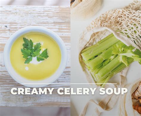 Creamy Celery Soup The Planttube