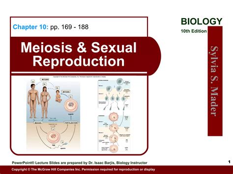 10 lecture animation ppt ppt