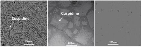 Sem Micrographs Of The Cao Sio 2 Caf 2 Based Mold Fluxes After Confocal