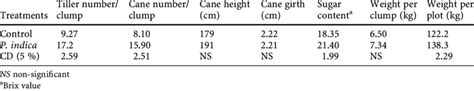 1 effect of p indica inoculation on yield attributing characters and