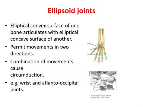 Classification And Applied Aspects Of Joints Pptx