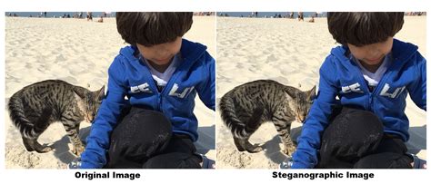 How To Hide Data Within An Image Sometimes The Best Way To Share… By