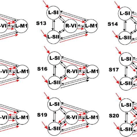 L Si Left Primary Somatosensory Cortex L Sii Left Secondary Download Scientific Diagram