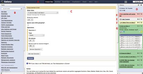 the galaxy analysis interface the galaxy analysis interface is