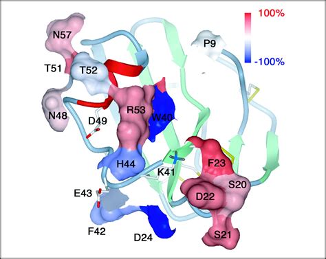 Insights Into The Human Cd59 Complement Binding Interface Toward