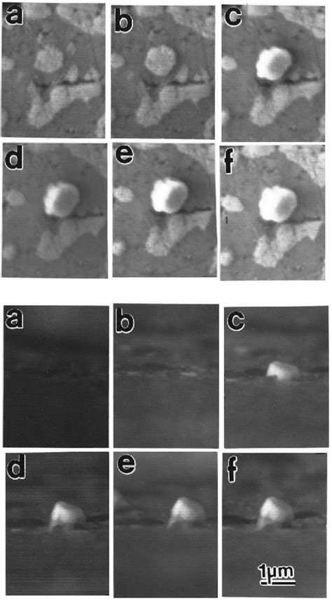 Figure 1 From Microstructure Electromigration Correlation In A Thin