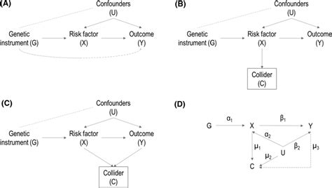 directed acyclic graphs dags illustrating relationships between the