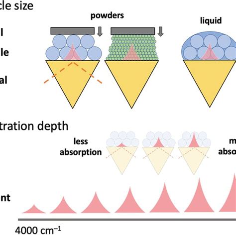 A A Comparison Of The Sampling When Powders And Liquids Are Placed In Download Scientific
