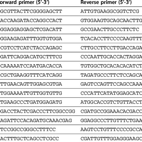 Quantitative Reverse Transcriptase Pcr Primers Used For Detecting