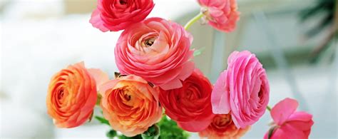 Dad Gave Mom Flowers After Divorce Ps Love