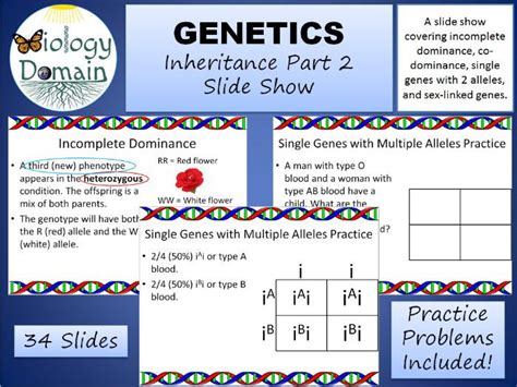 genetics inheritance part 2 slide show teaching resources