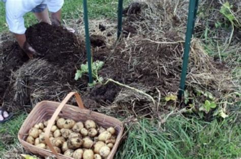 Leave A Reply Cancel Reply