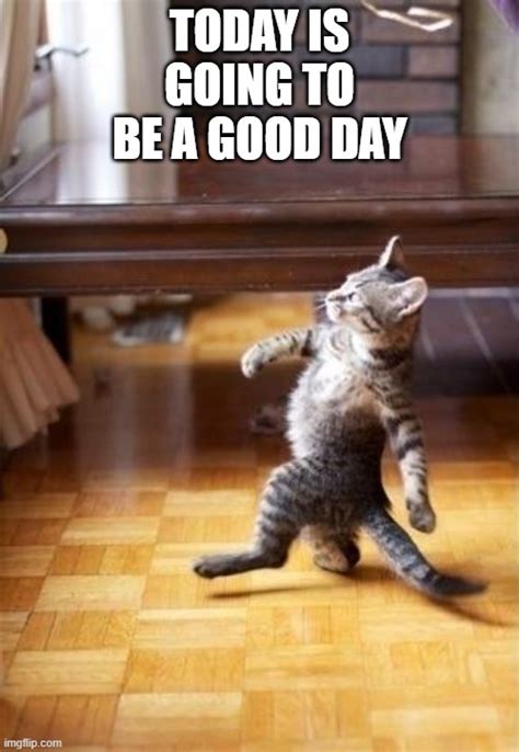 Cool Cat Stroll Meme Imgflip