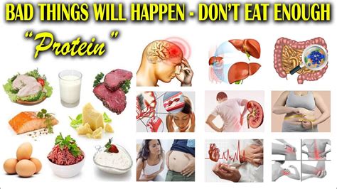 Why Do I Feel Sick If I Don T Eat Protein at Anita Price blog
