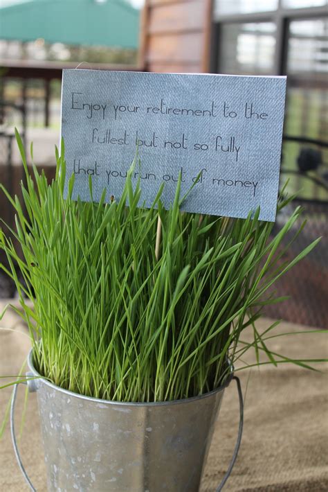 Is Her Grass Greener Than My Grass Miss Kopy Kat