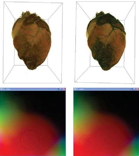 Figure 1 From Exploration Of Volumetric Datasets Through Interaction In Transfer Function Space