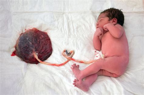Las Vegas Placenta Services FromBumpToBabies