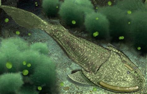 Ostracoderm Dinopedia Fandom